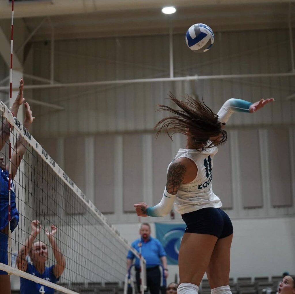 Best Plyometric Exercises for Volleyball: Build Elite Explosiveness ...